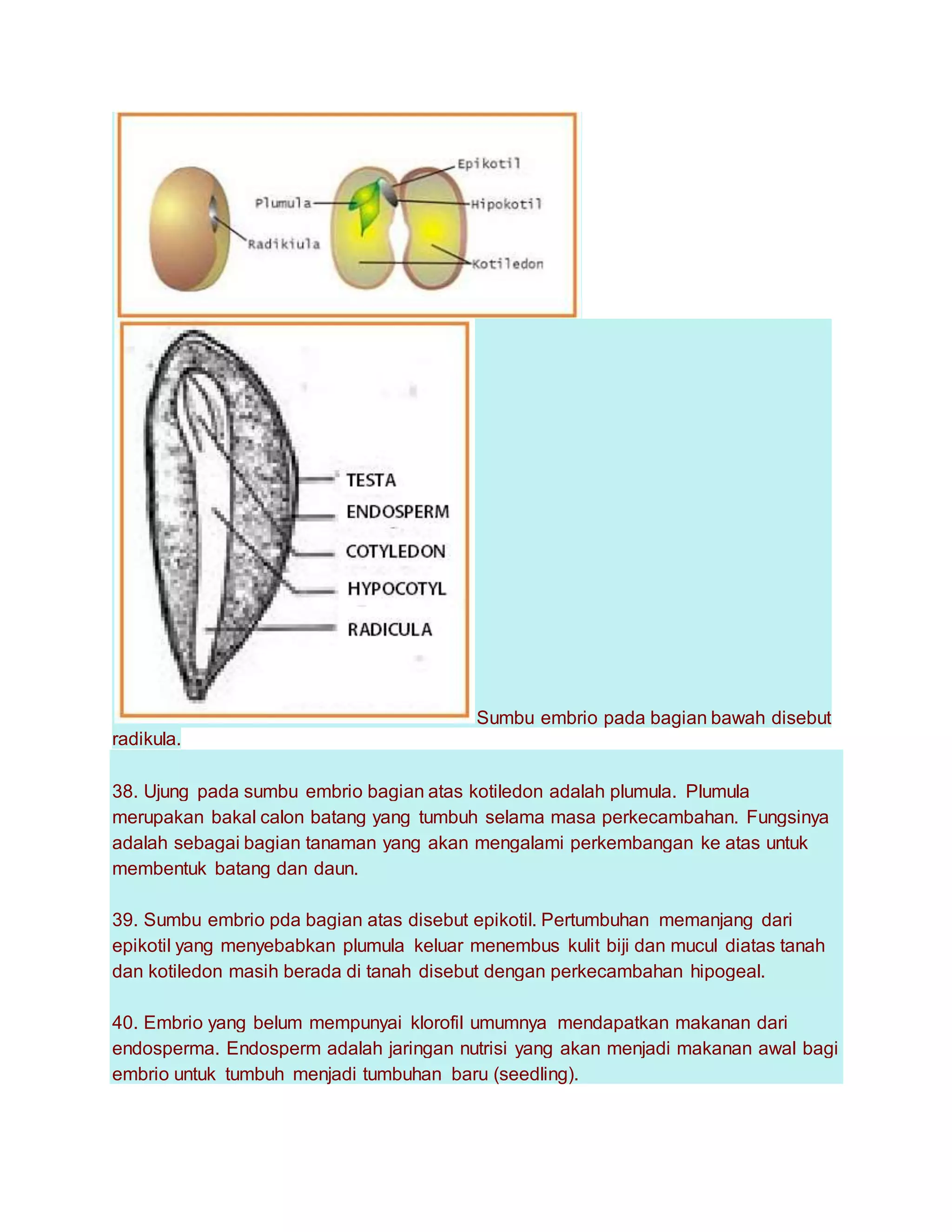 SOAL DAN PEMBAHASAN PERTUMBUHAN DAN PERKEMBANGAN | DOCX