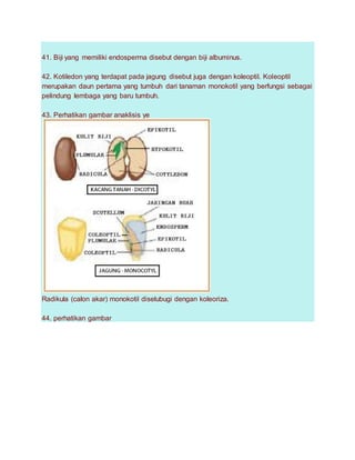 SOAL DAN PEMBAHASAN PERTUMBUHAN DAN PERKEMBANGAN | DOCX