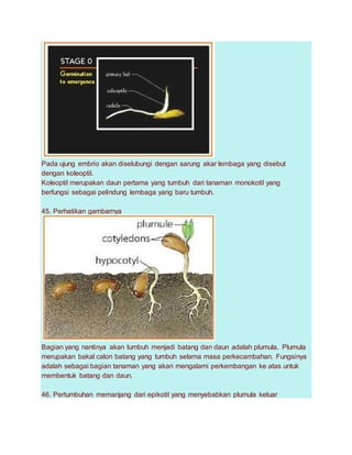 SOAL DAN PEMBAHASAN PERTUMBUHAN DAN PERKEMBANGAN | DOCX