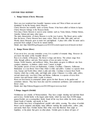 Contoh teks report | DOCX