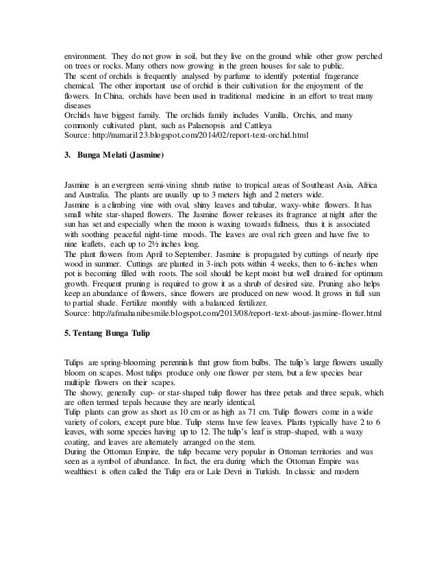 Contoh report text tentang seseorang dalam bahasa inggris - farpol