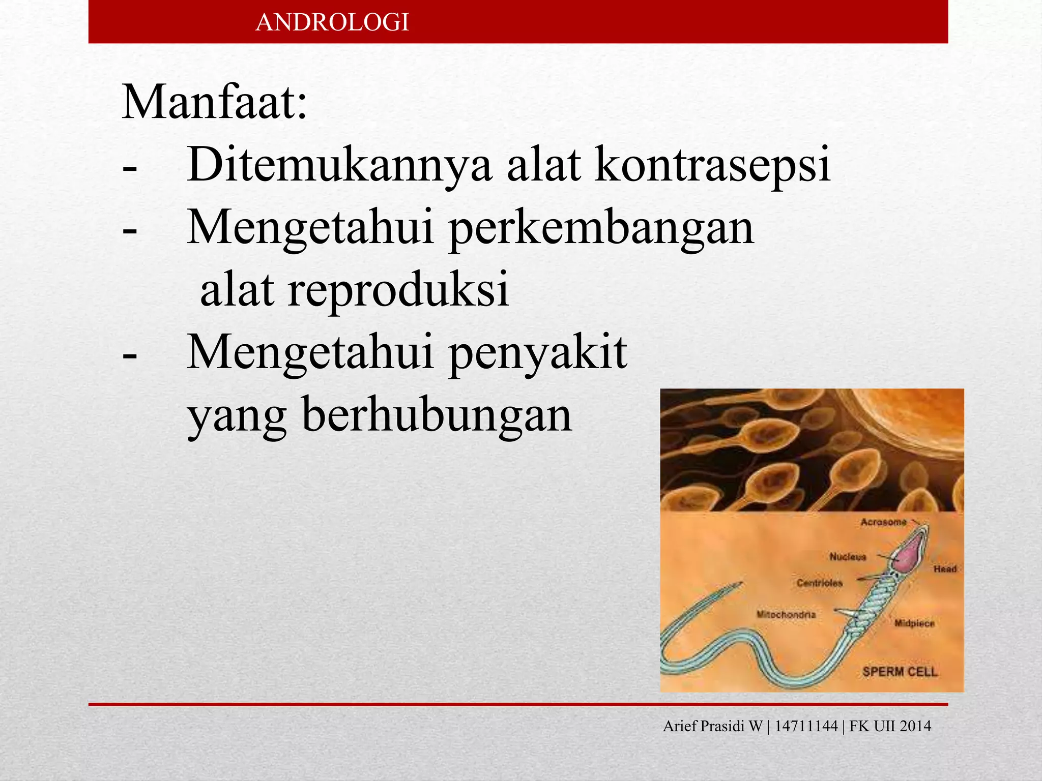 Contoh terminologi kedokteran | PPTX