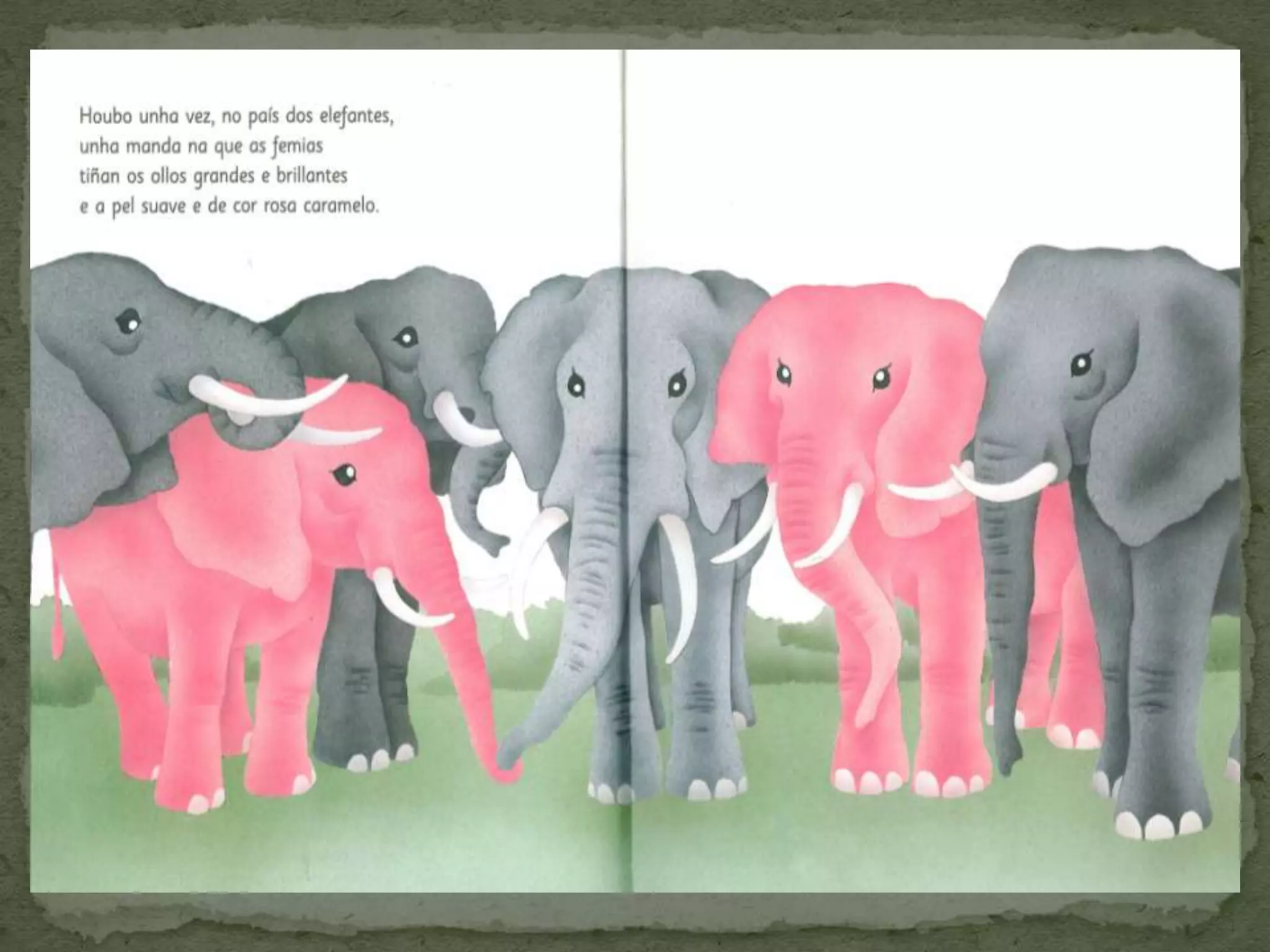 Conto rosa caramelo | PPT