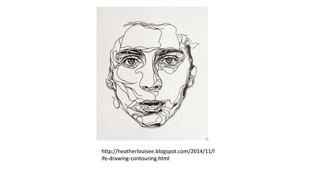 Contour Drawing Ppt