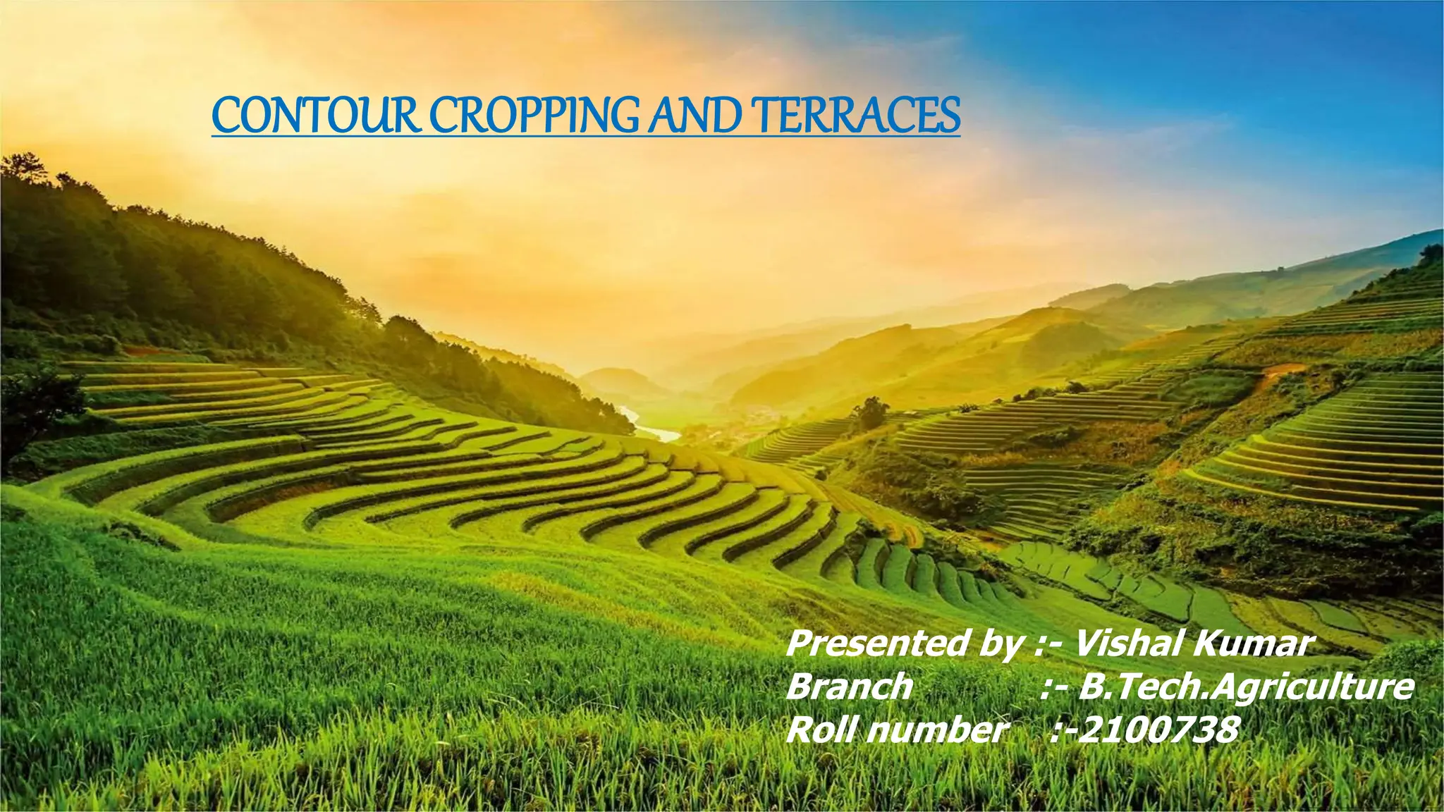 CONTOUR CROPPING AND TERRACES PPT agriculture | PPTX