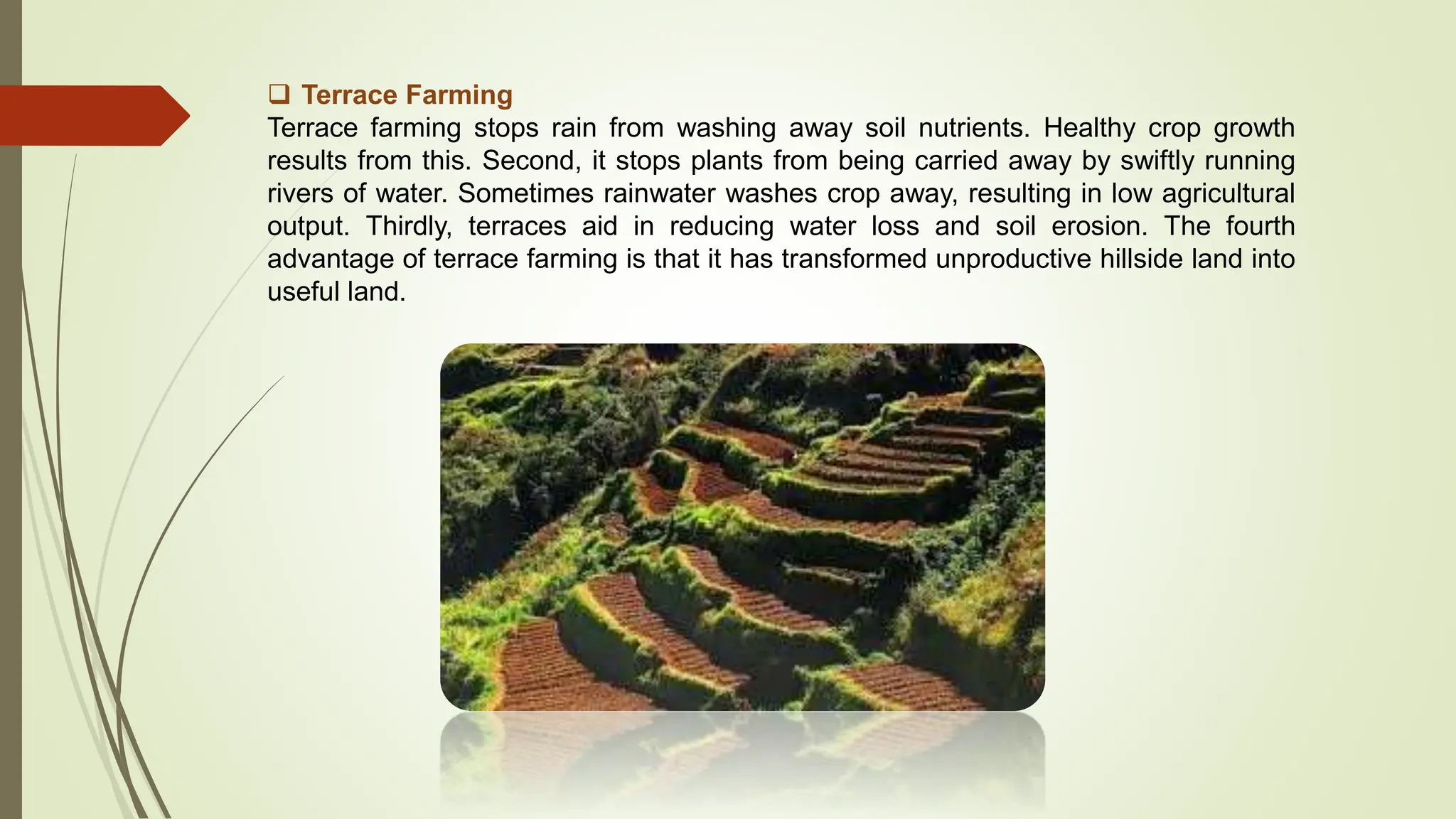 CONTOUR CROPPING AND TERRACES PPT agriculture | PPTX