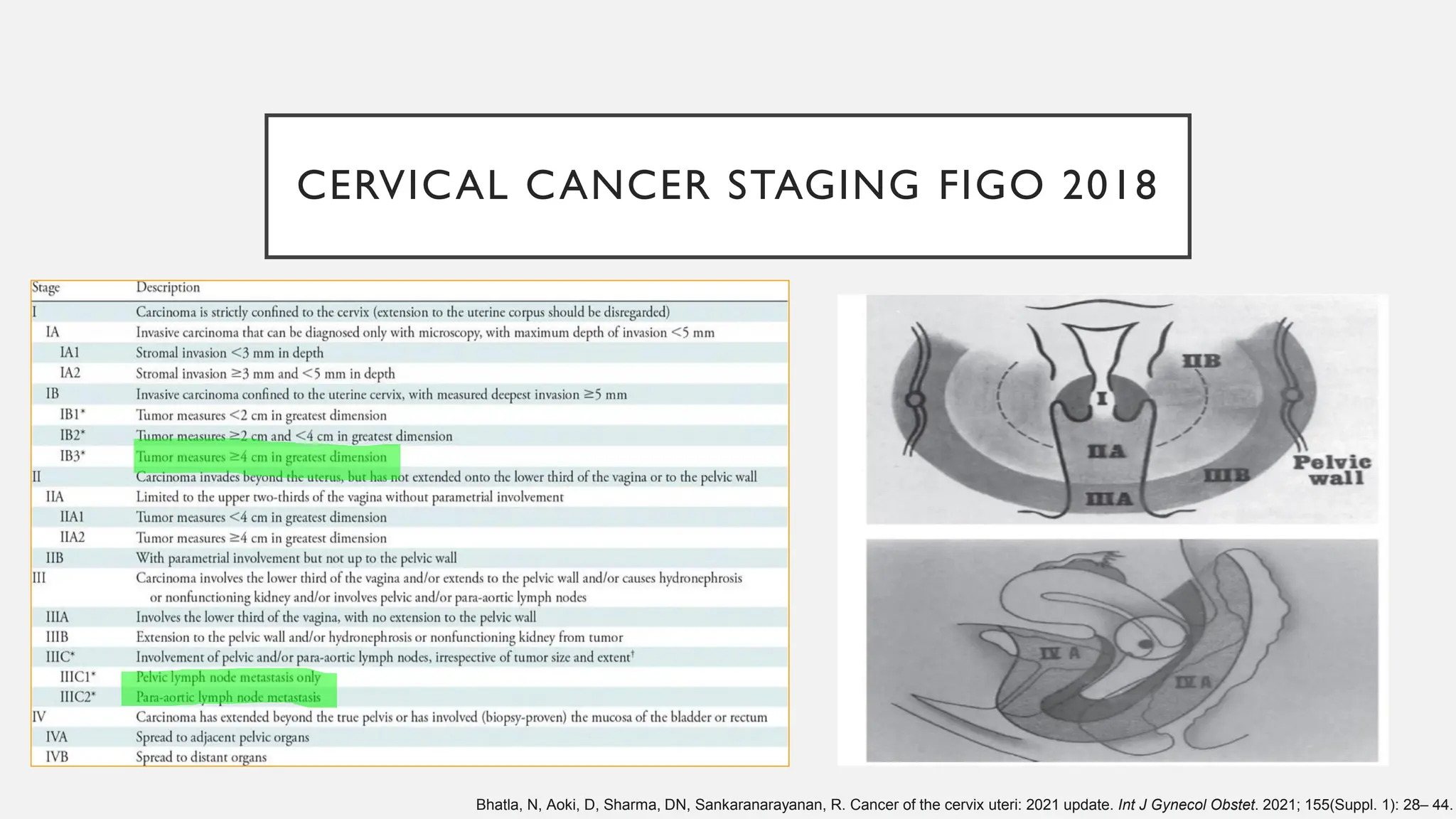 contouring guidelines ca cervix.pdf | Cancer | Diseases and Conditions
