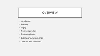 contouring guidelines ca cervix.pdf