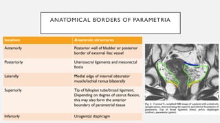 contouring guidelines ca cervix.pdf