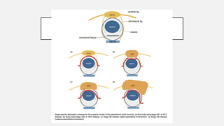 contouring guidelines ca cervix.pdf