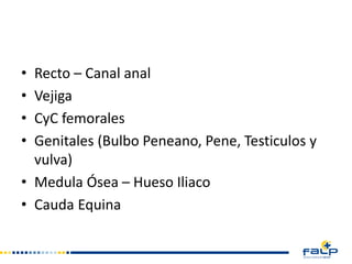 contouring organos de riesgo pelvis.pptx