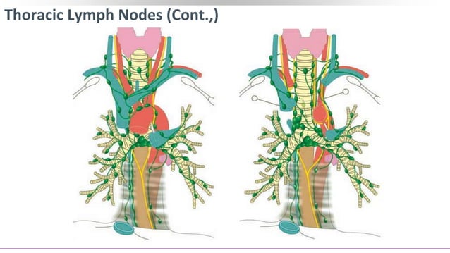 Contouring of CTV lymph nodes in NSCLC (Part I) | PPTX