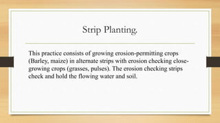Contouring, Terracing and Strip Planting by Muhammad Zuhair.pptx
