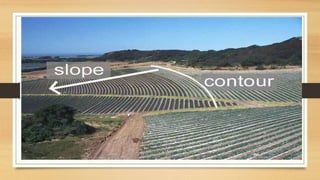 Contouring, Terracing and Strip Planting by Muhammad Zuhair.pptx