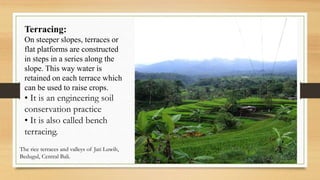 Contouring, Terracing and Strip Planting by Muhammad Zuhair.pptx