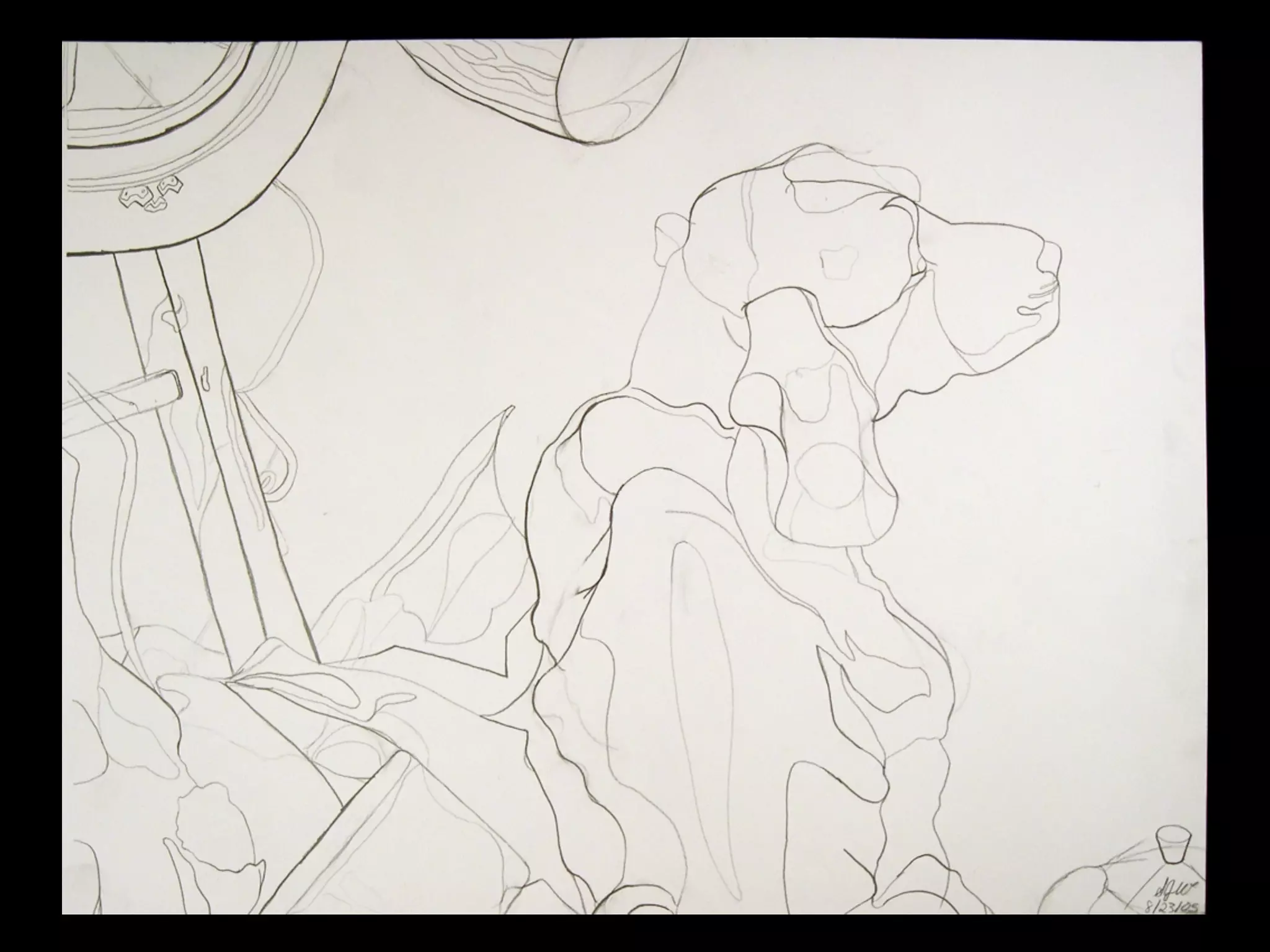 Contour Line Drawing | PPT