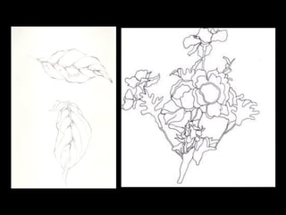Contour Line Drawing | PPT