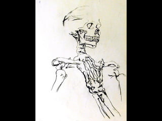 Contour line drawing | PPT