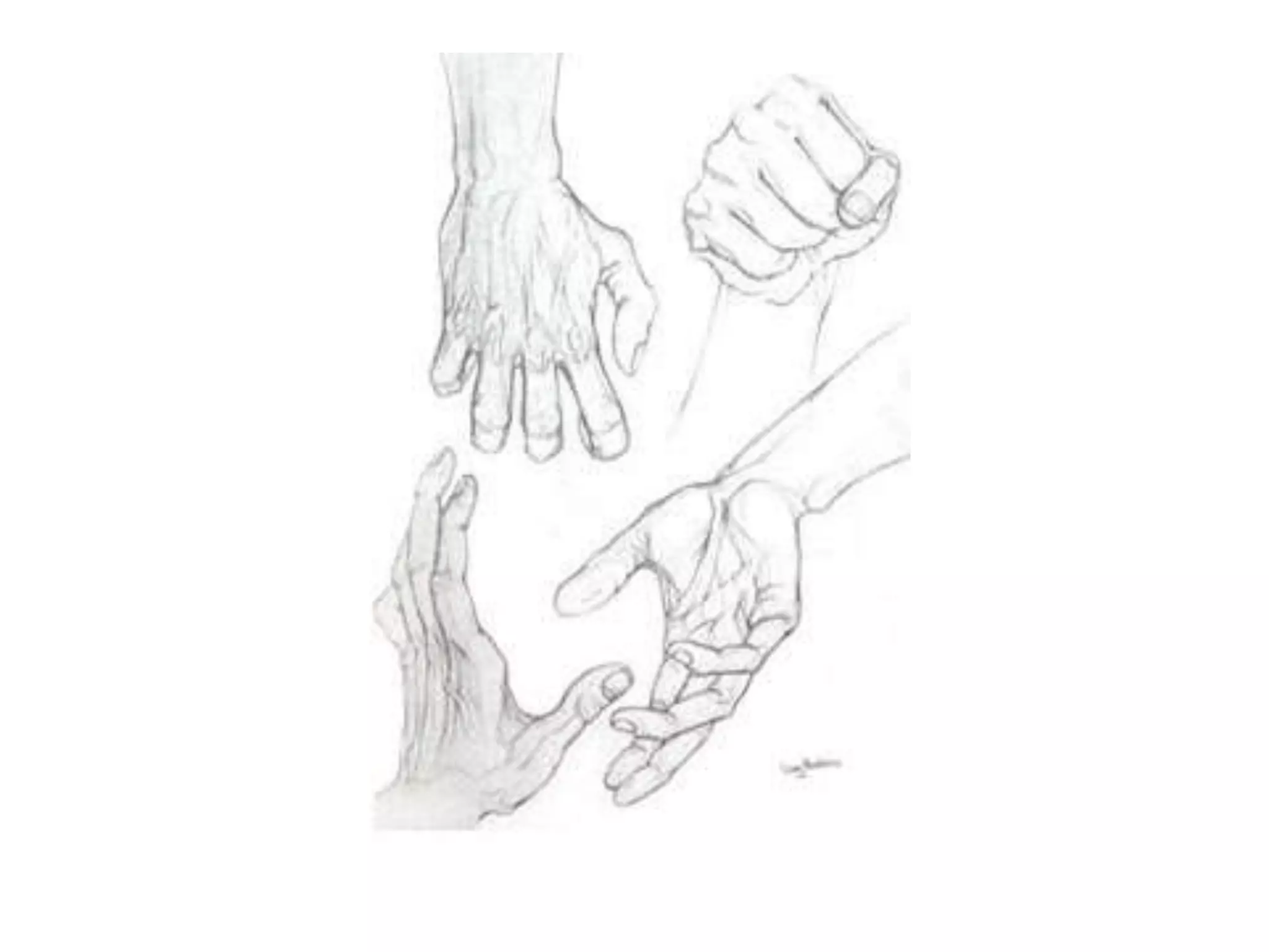 Contour line drawing | PPT