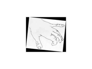 Contour line drawing | PPT