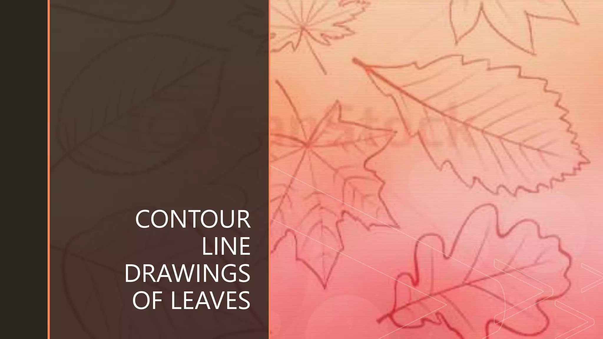 CONTOUR LINE DRAWINGS OF LEAVES.pptx