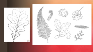 CONTOUR LINE DRAWINGS OF LEAVES.pptx