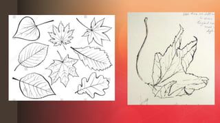 CONTOUR LINE DRAWINGS OF LEAVES.pptx