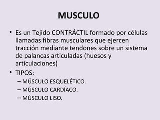 Contracción muscular | PPT