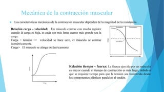 Contracción muscular | PPTX