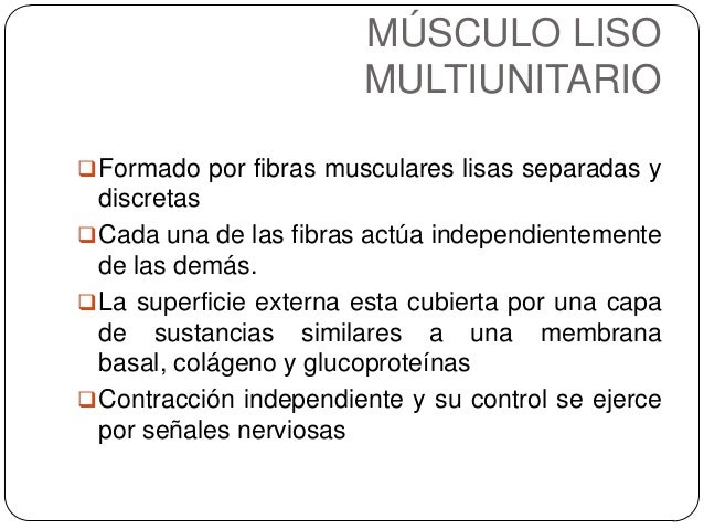 EXCITACIÓN Y CONTRACCIÓN DEL MUSCULO LISO – Rahel's medicine