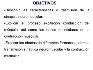 Contraccion muscular Fisiología de la contracción muscular | PPT