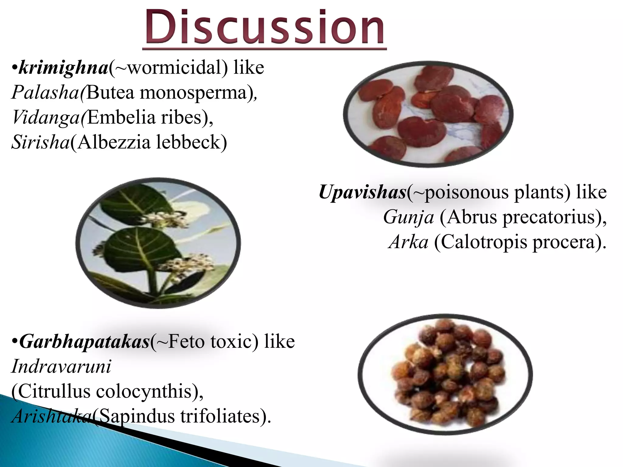 Herbal Contraceptives | PPTX