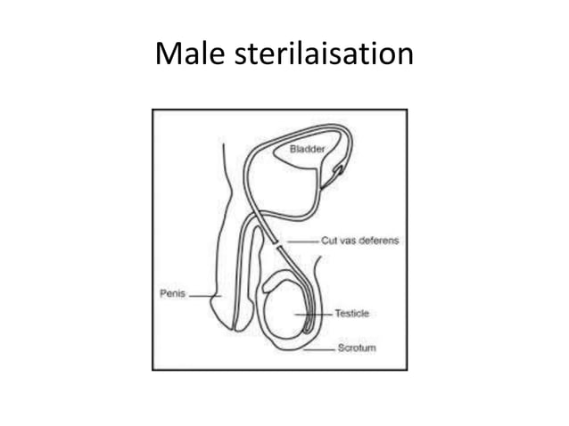 Contraception | PPTX | Pregnancy | Reproductive Health