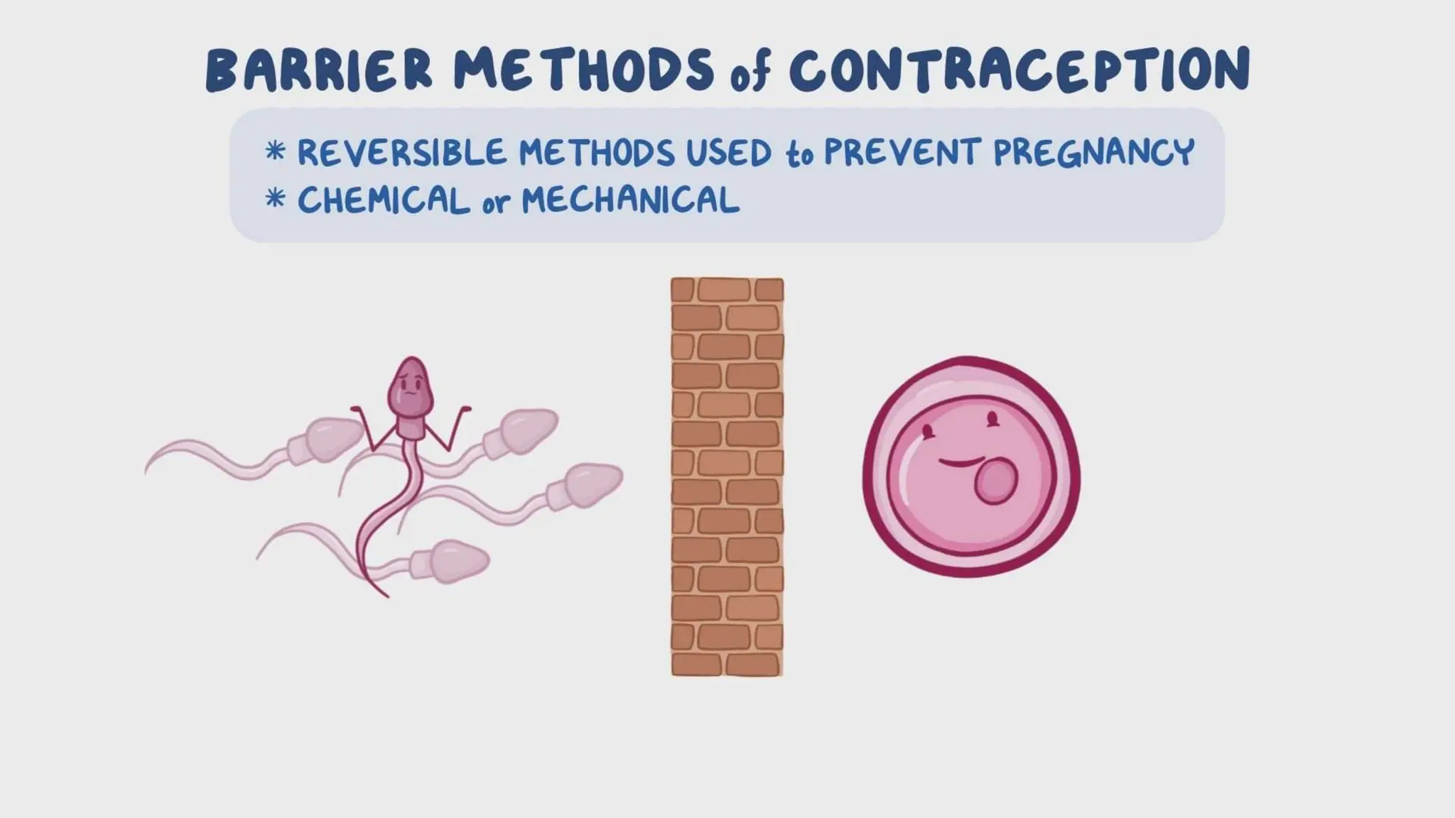 contraception.pptx
