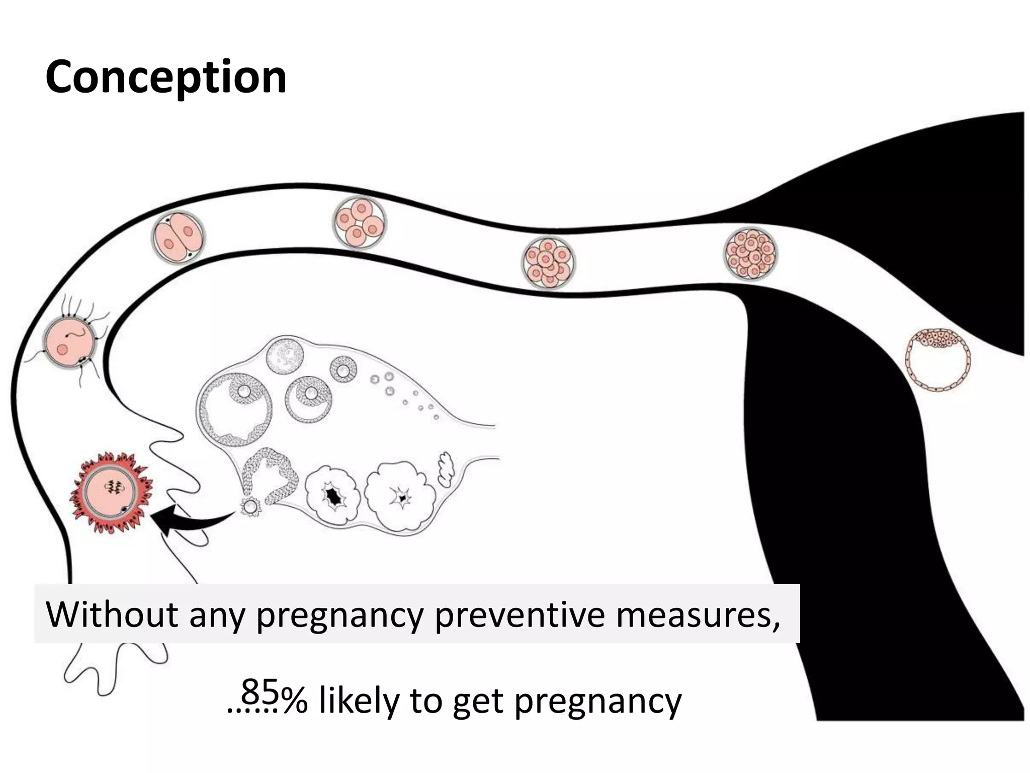Why is family planning important? | PPT