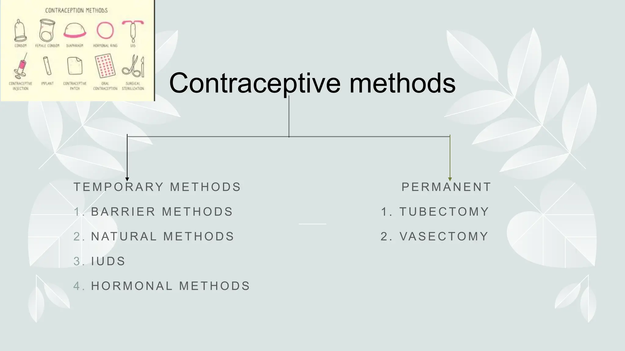 Contraceptive.pptx measures in males and females | PPTX