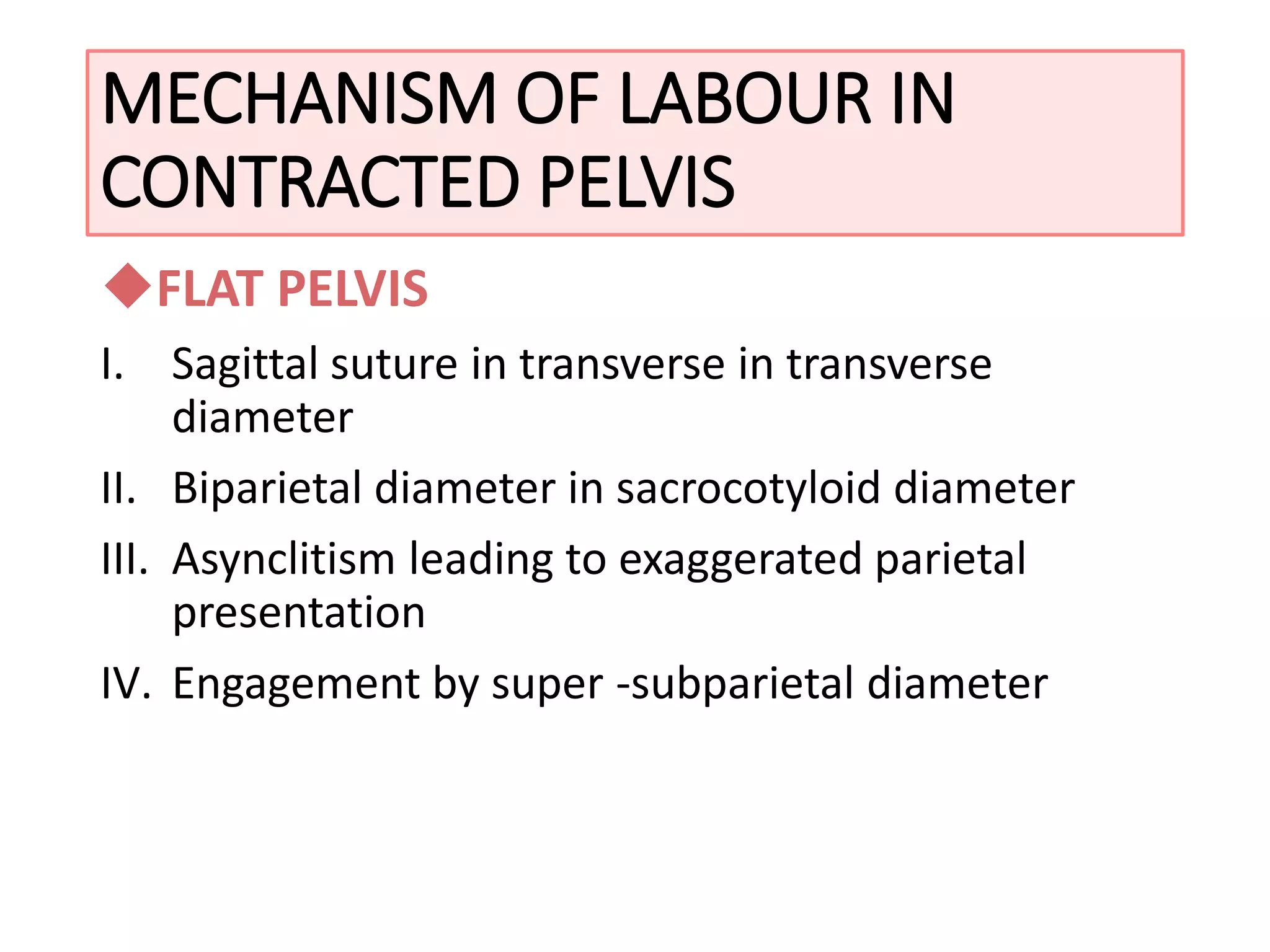 Contracted labor | PPTX