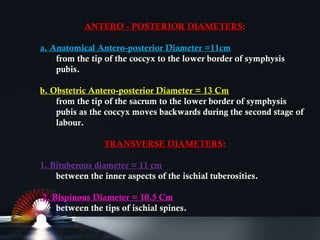 Contracted pelvis | PPT