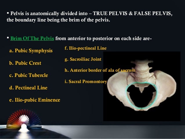Contracted pelvis