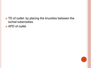 Contracted pelvis | PPTX