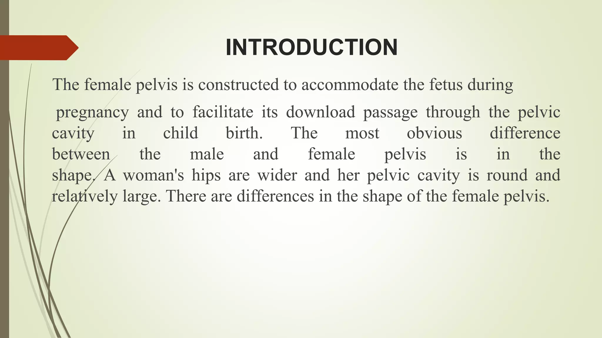 Contracted pelvis | PPTX