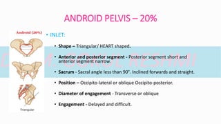Contracted pelvis - CEPHALOPELVIC DISPROPORTION | PPTX