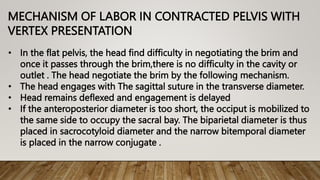 contracted pelvis and cephalopelvic disproportion.pptx