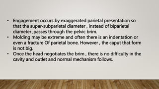 contracted pelvis and cephalopelvic disproportion.pptx