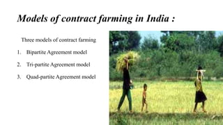 Contract farming | PPTX
