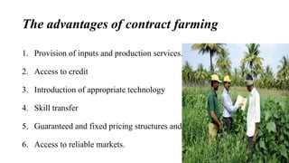 Contract farming | PPTX