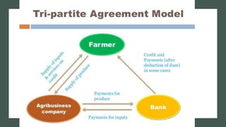 Contract farming | PPTX