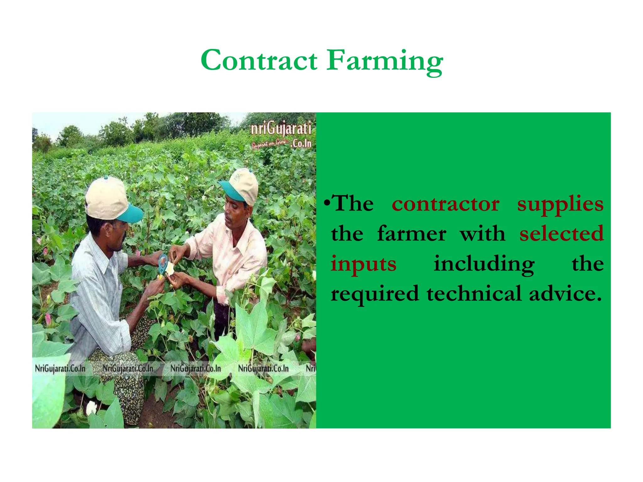 Contract Farming and benefits to farmers | PPT