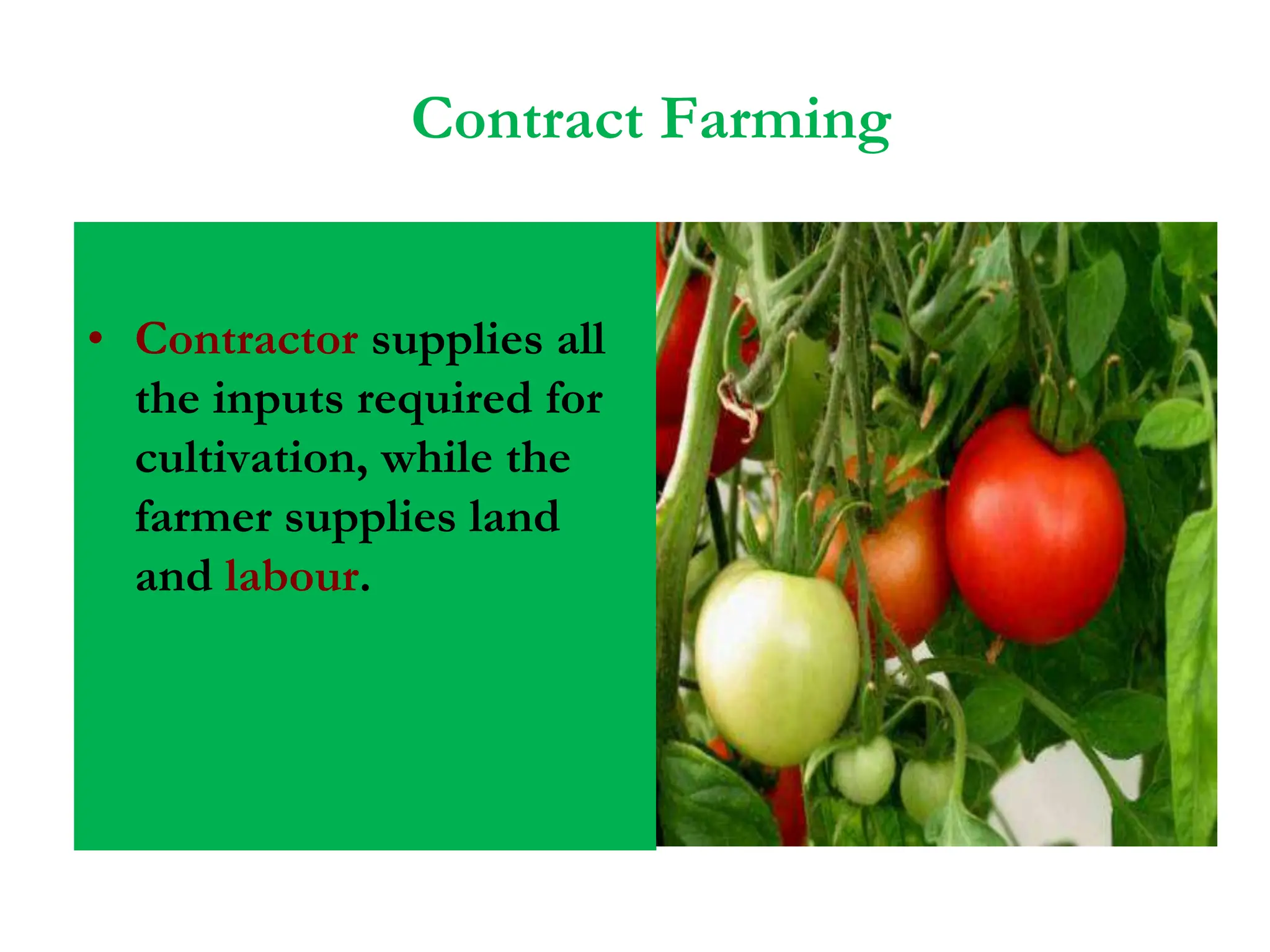 Contract Farming and benefits to farmers | PPT