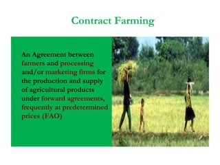 Contract Farming and benefits to farmers | PPT
